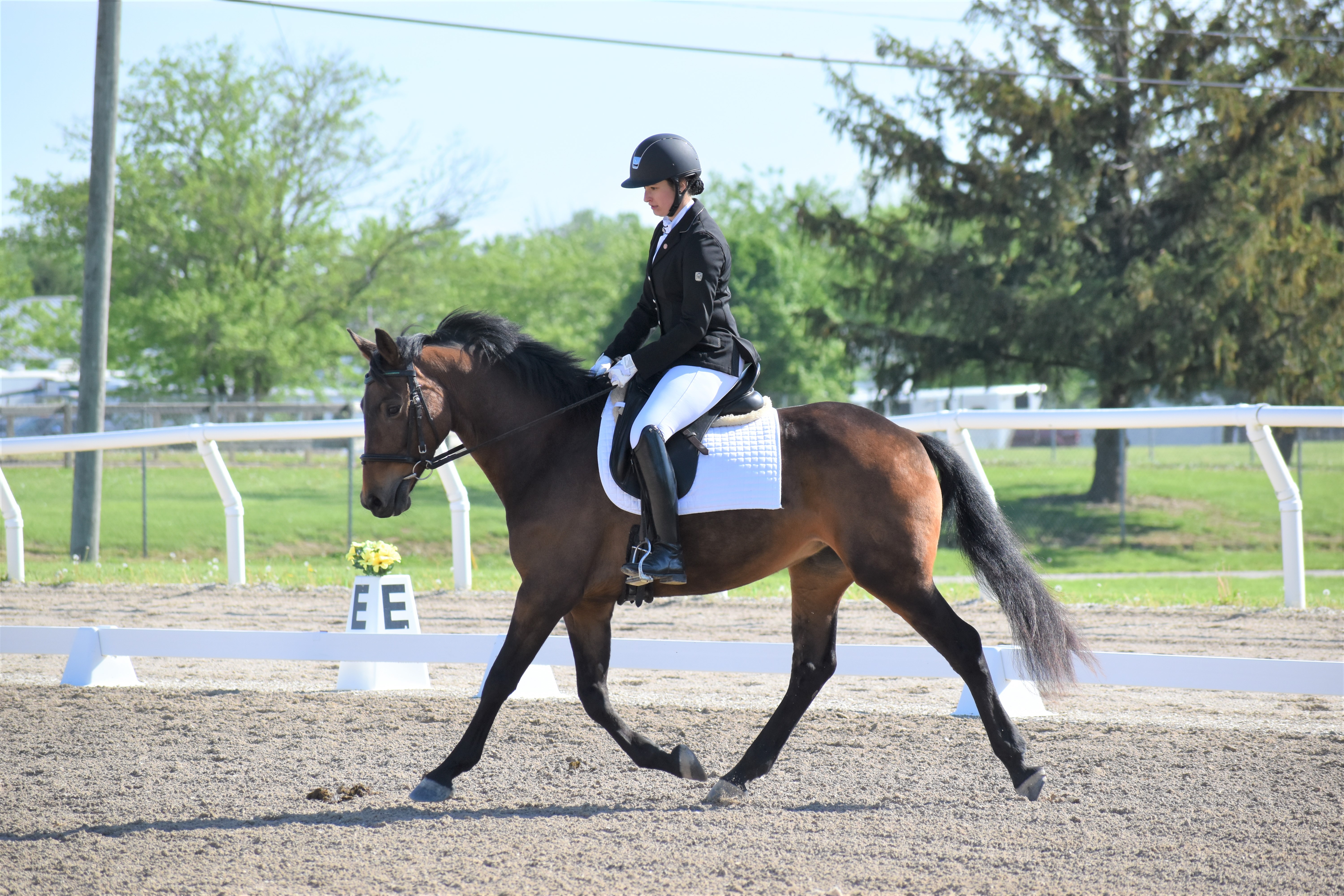 IDS May Schooling Show - Indiana Dressage Society